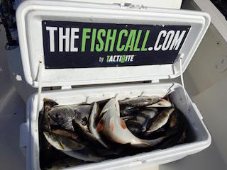 Videos - TactiBite Fish Call