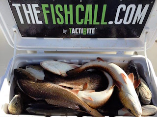 Videos - TactiBite Fish Call