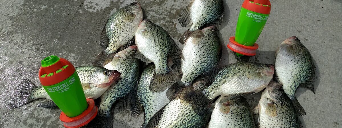 TactiBite Fish Call - As Seen On Shark Tank!